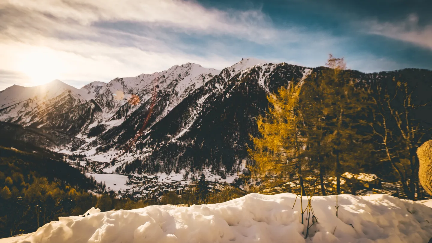 LILY Capital Partners ホームページ – 島根県の資産運用・事業承継コンサルティング